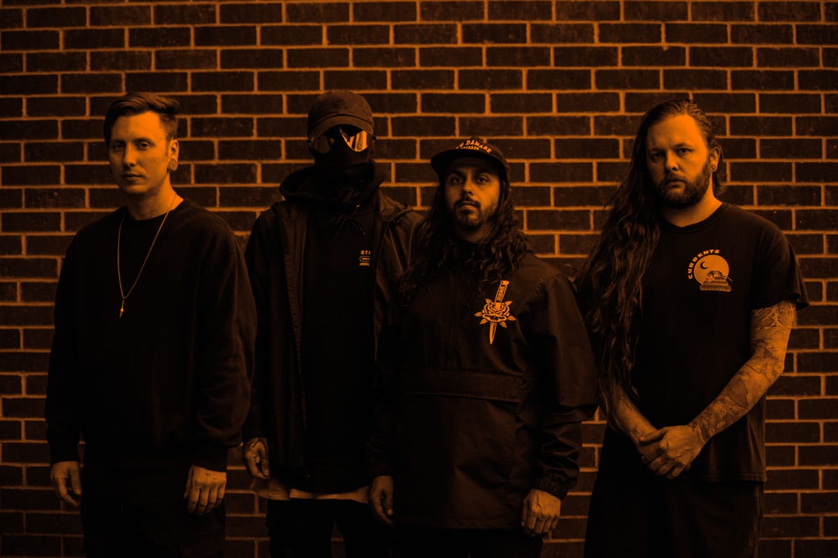 A Light in the Dark: An Interview with The Northern